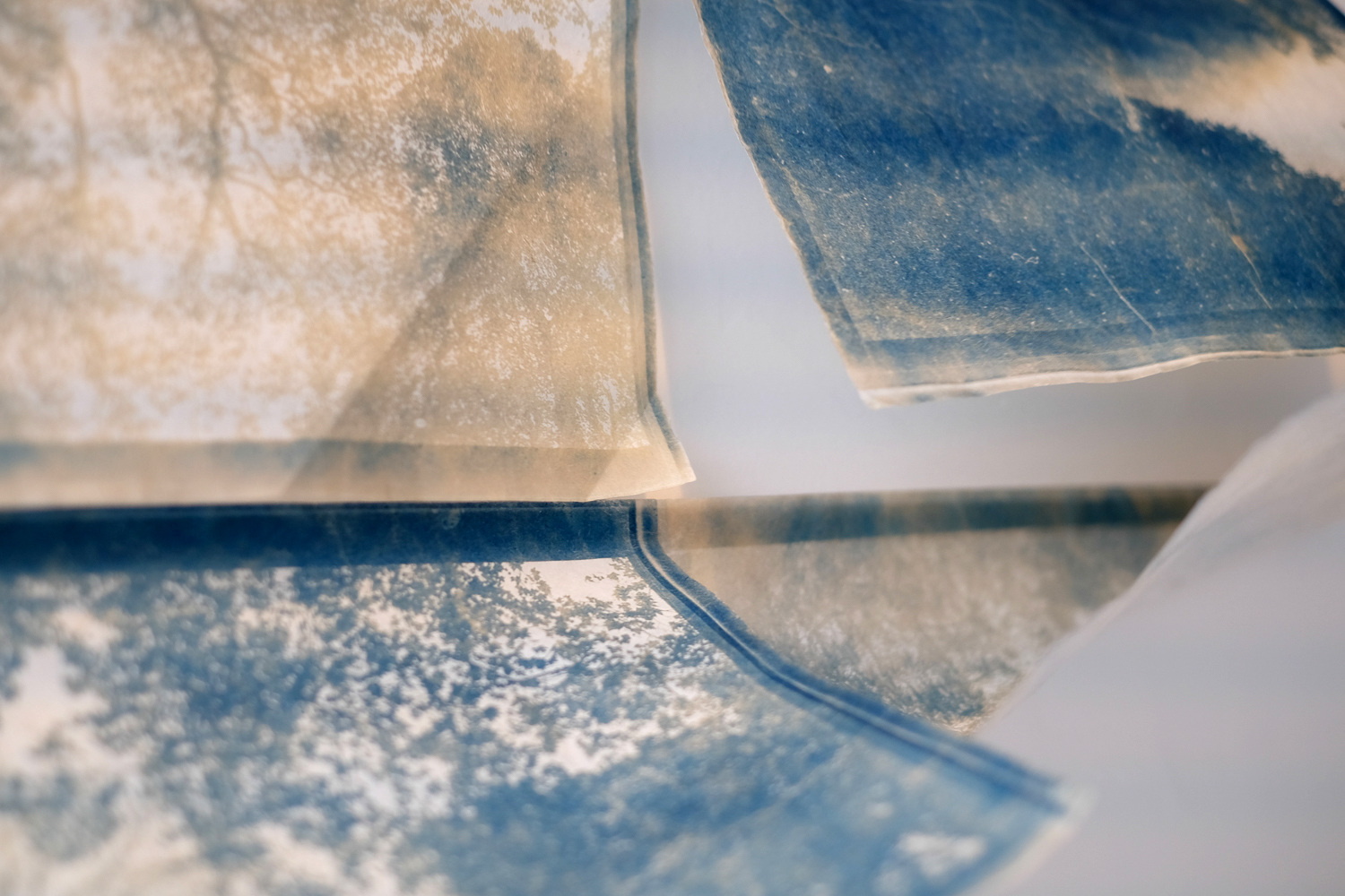 Sara Rocio - Paradise Found