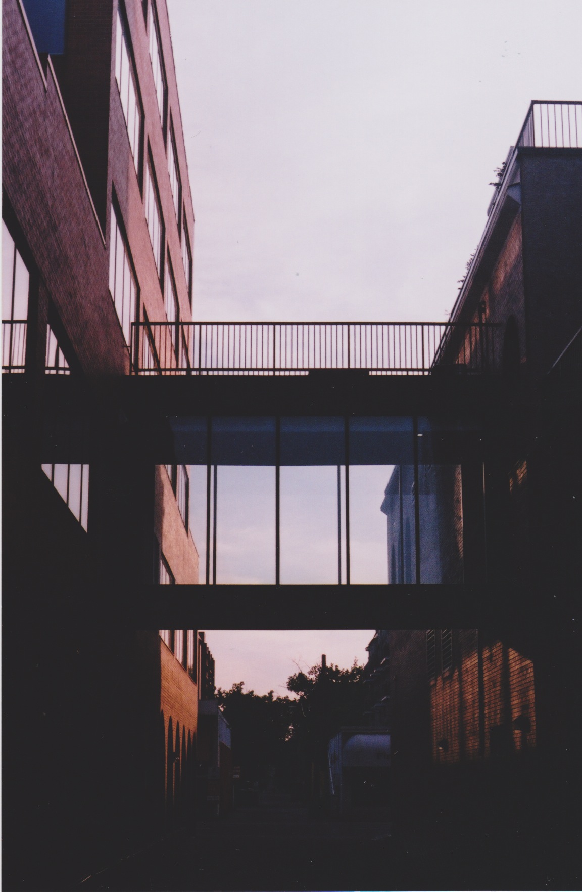 Photography - Andrew Noakes