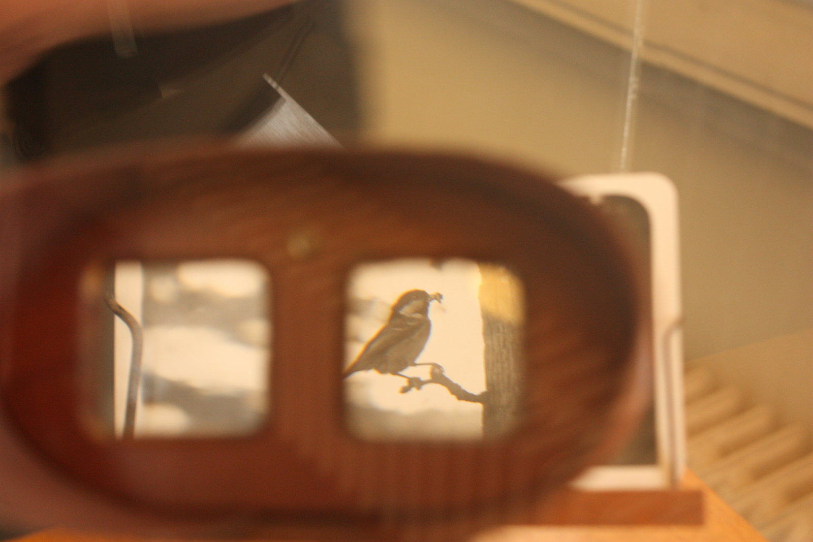 Photography - Andrew Noakes