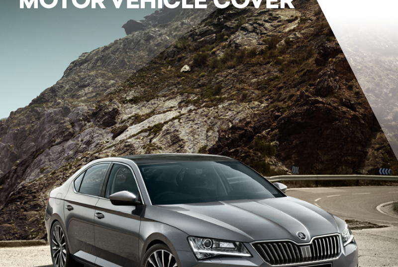 Guillaume at Bennelong - Cheryl Collins Design