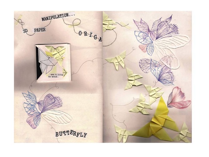 Research Sketchbook: Insects & Waterlily - Elena Occidente portfolio