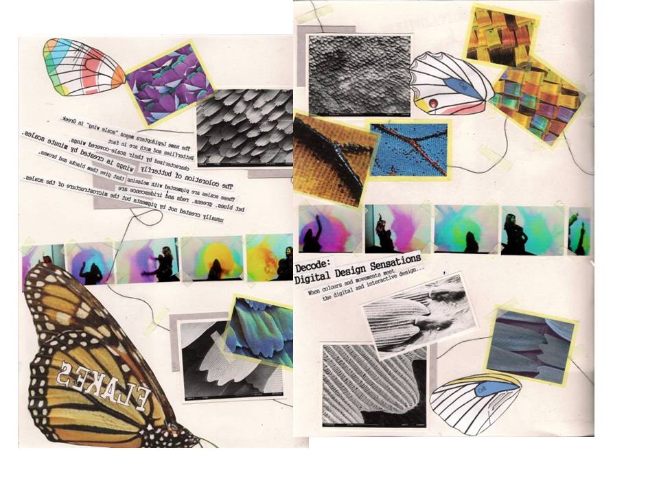 Research Sketchbook: Insects & Waterlily - Elena Occidente portfolio