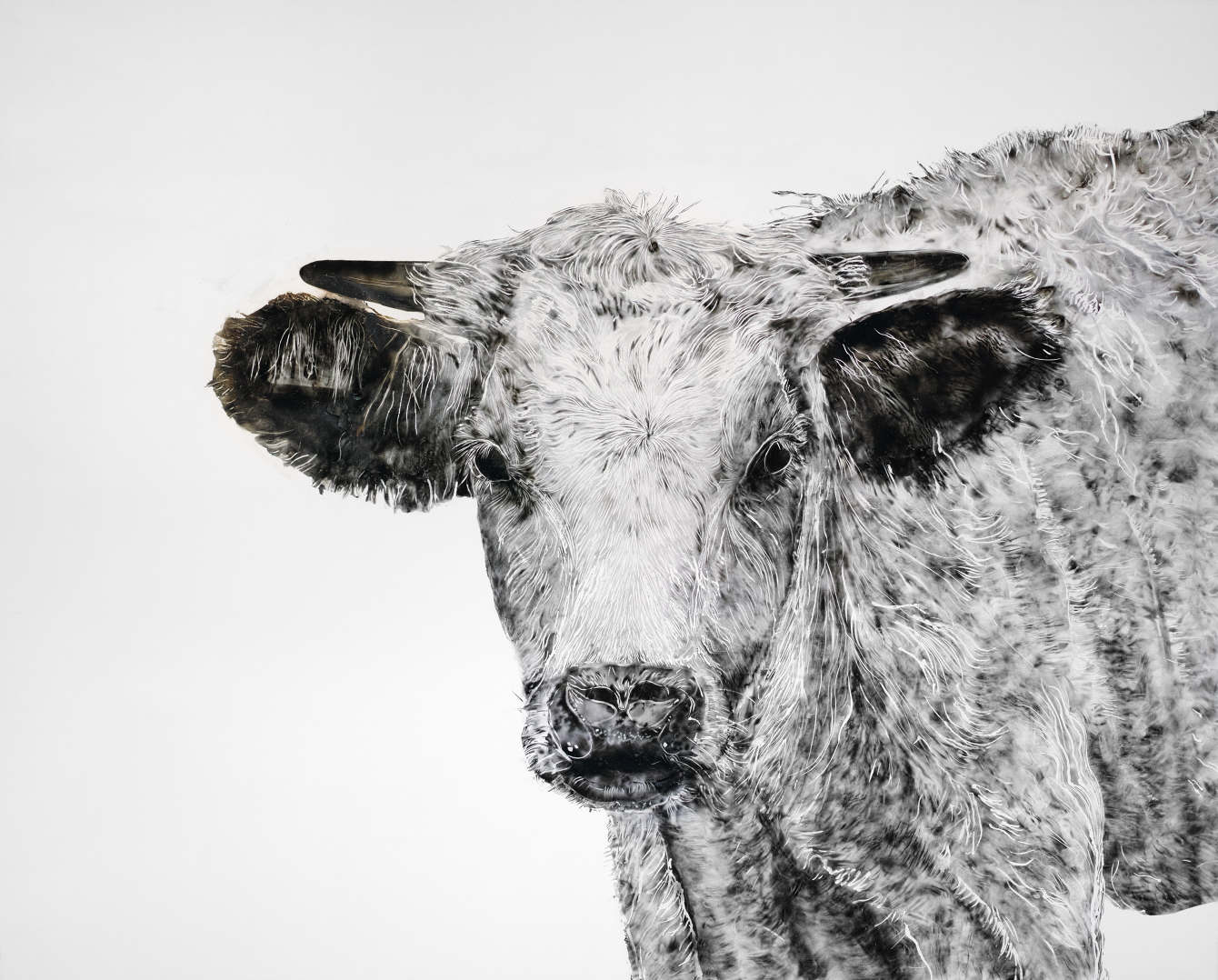 Smoke Paintings - sheila gallagher