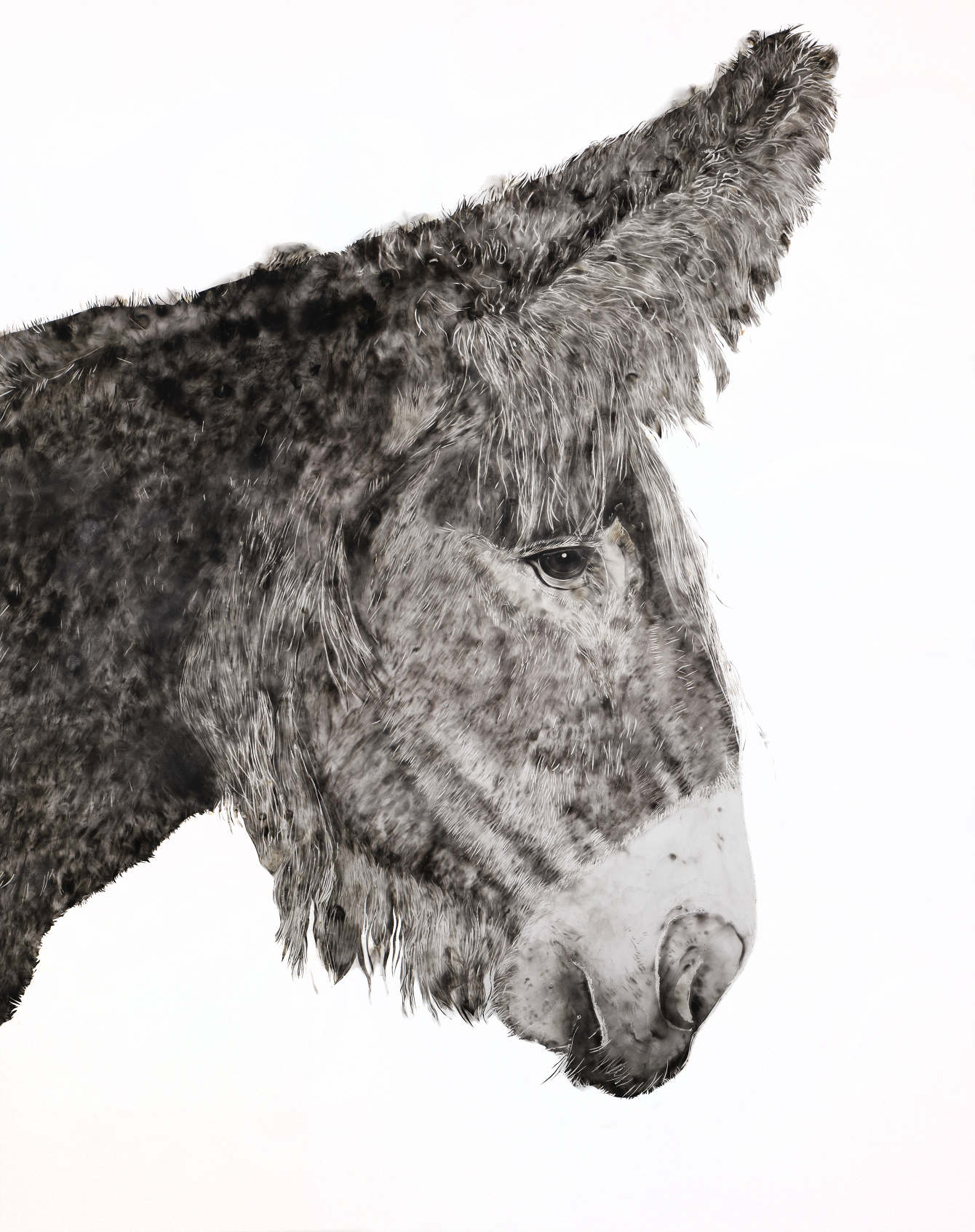 Smoke Paintings - sheila gallagher