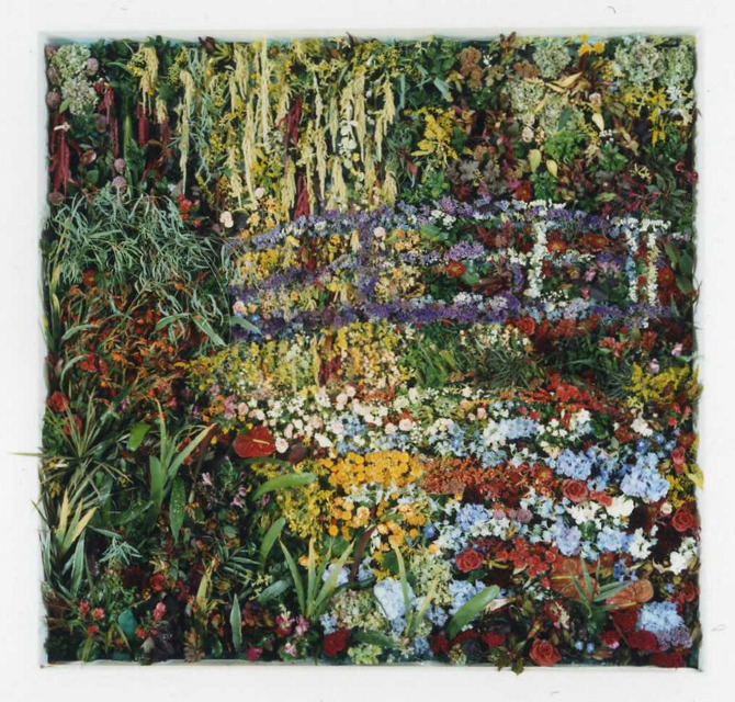 Flower installations - sheila gallagher