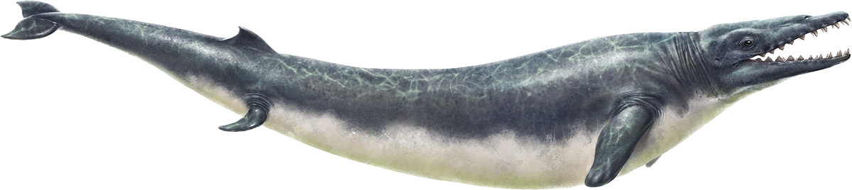 Gallop to the Sea. Whale ansectors - The Art of Eldar Zakirov