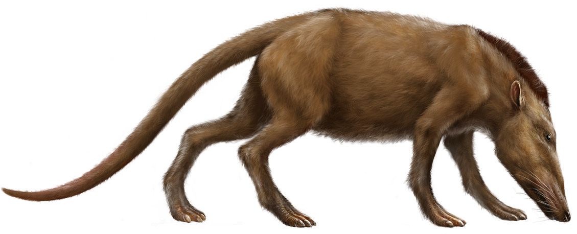 Gallop to the Sea. Whale ansectors - The Art of Eldar Zakirov