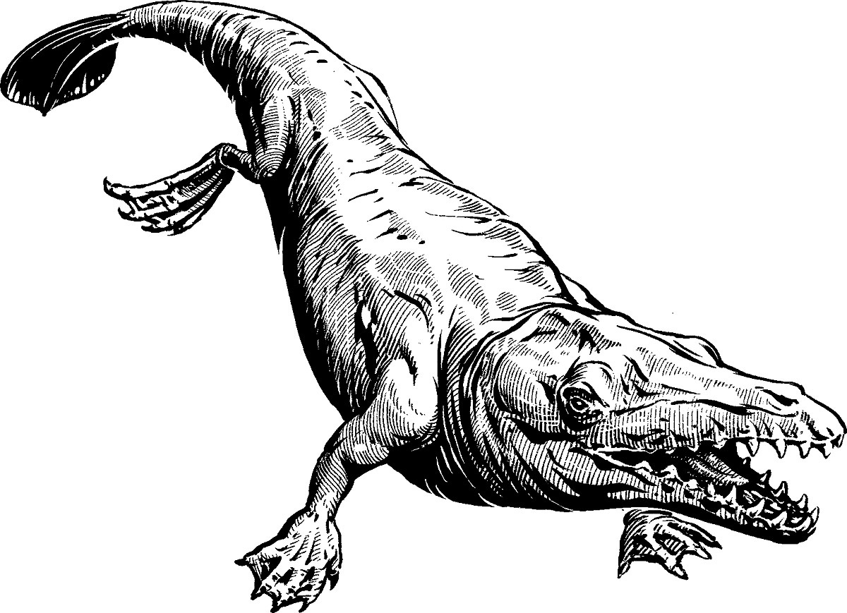 Gallop to the Sea. Whale ansectors - The Art of Eldar Zakirov