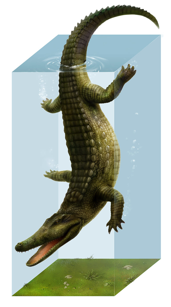 Crocodile Tribe - The Art of Eldar Zakirov