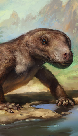 Ambulocetus - The Art of Eldar Zakirov