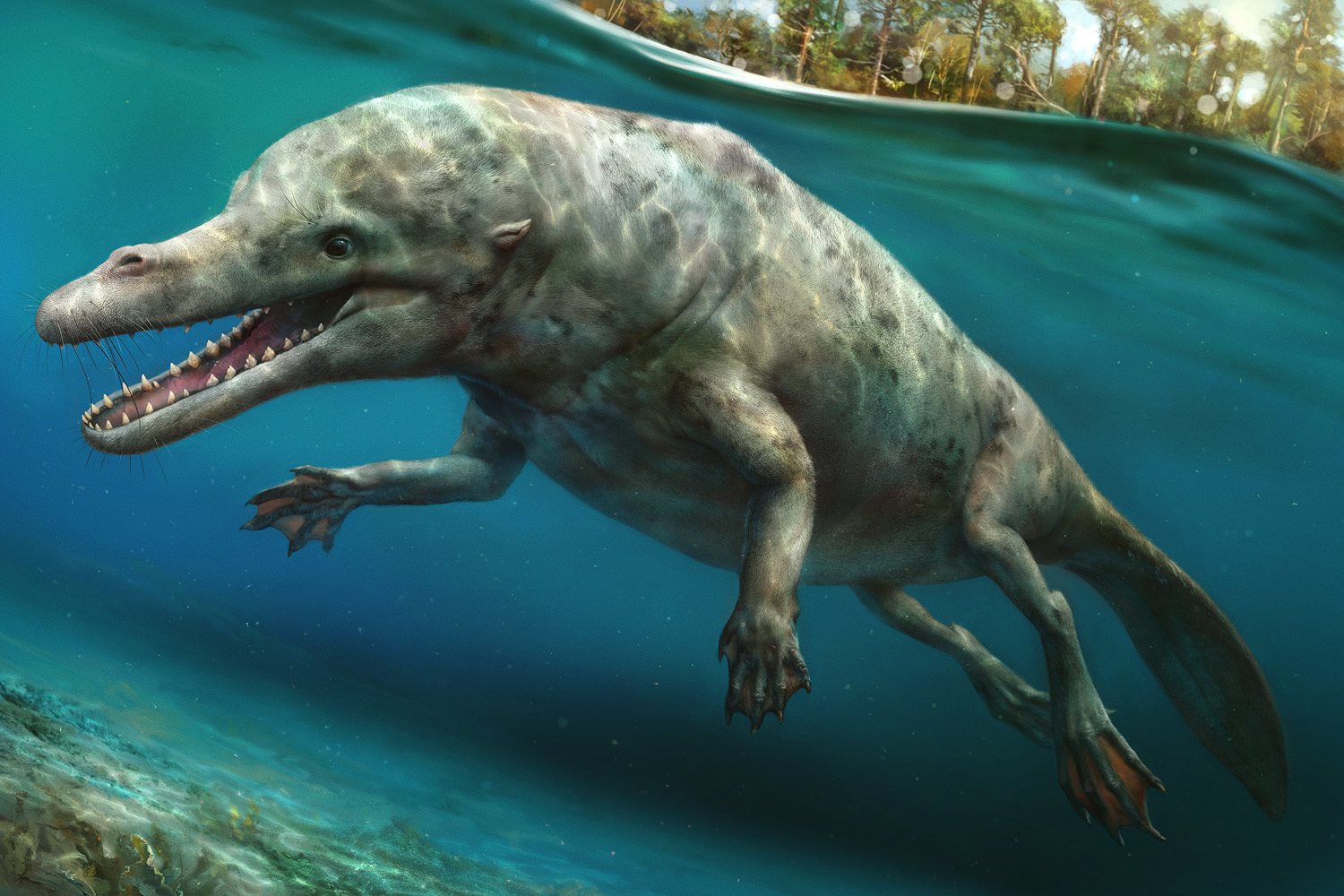 Rodhocetus - The Art of Eldar Zakirov