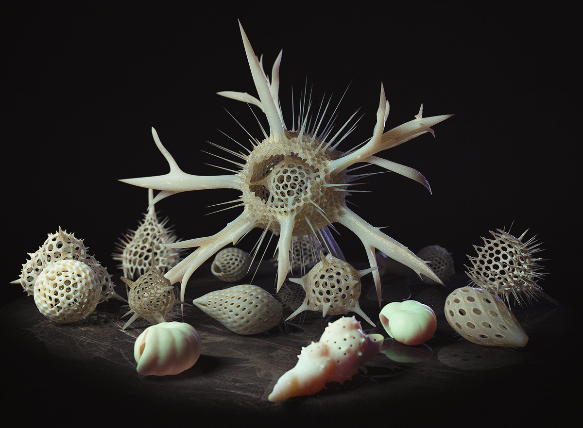 Radiolaria and Foraminifera - The Art of Eldar Zakirov