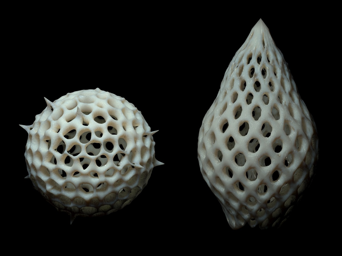 Radiolaria and Foraminifera - The Art of Eldar Zakirov