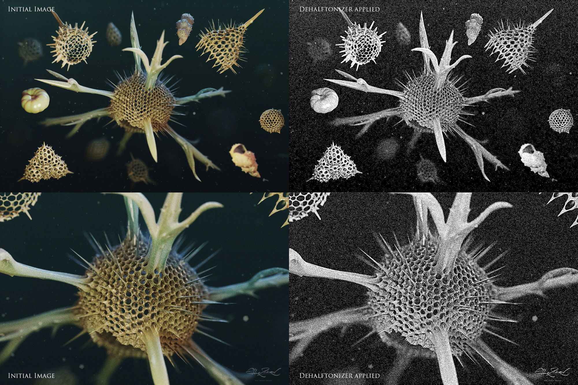 •INK.• for Affinity Photo & Designer: 44 raster Brushes + Dehalftonizer ...