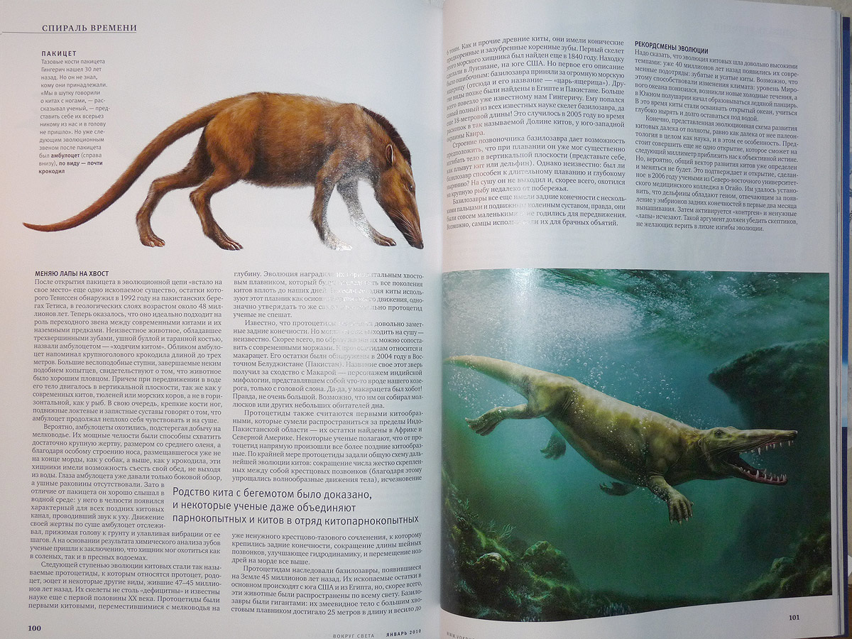 Ambulocetus - The Art of Eldar Zakirov