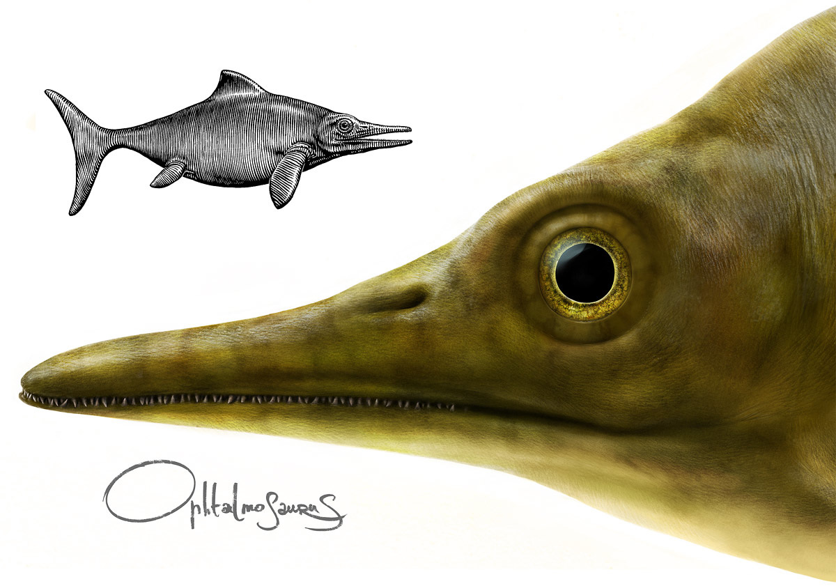 Mesozoic Marine Beasts - The Art of Eldar Zakirov