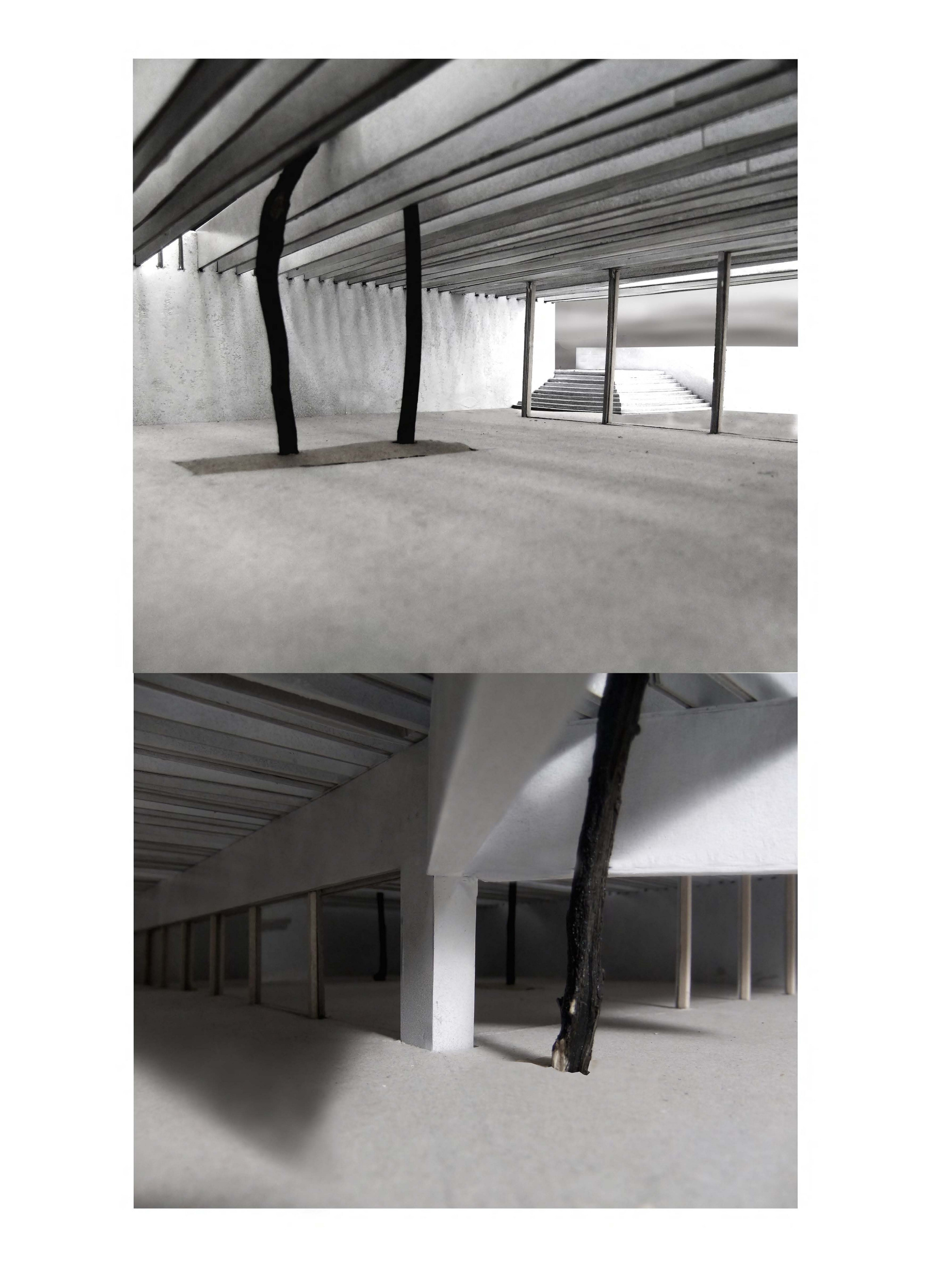 Nordic Pavilion Precedent Study 3rd Year - Architectural Graphics