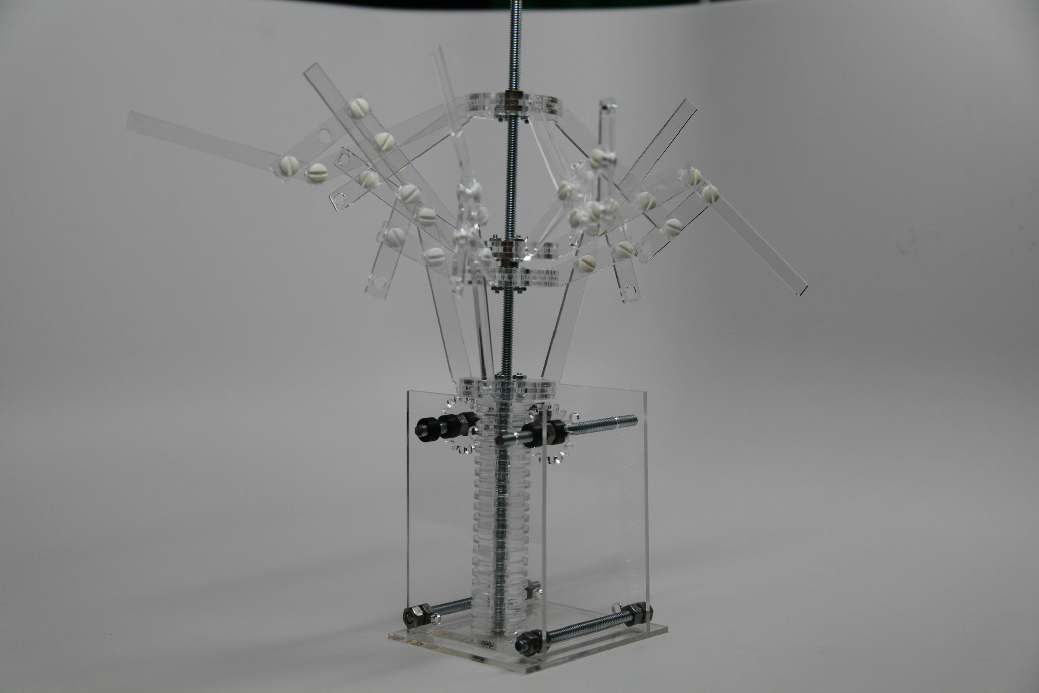 Time Immemorial - Eric Hagan's Portfolio