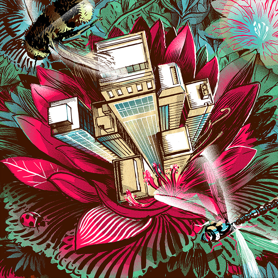 Paul Hoppe Illustration