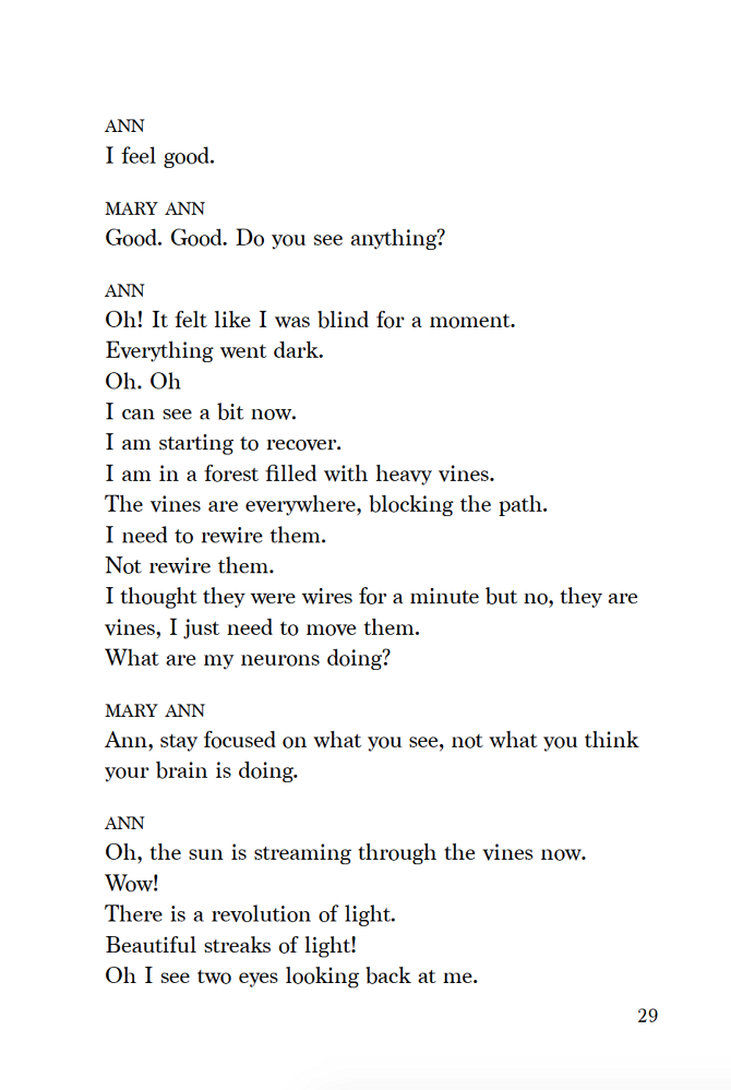 Courtney: Ann, Fran, and Mary Ann - 53rd State Press