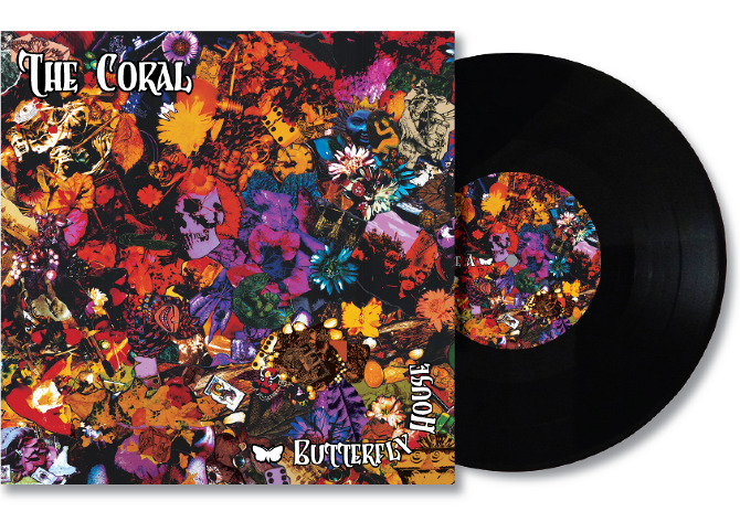 THE CORAL - MICROCOSM | Design, Illustration & Animation