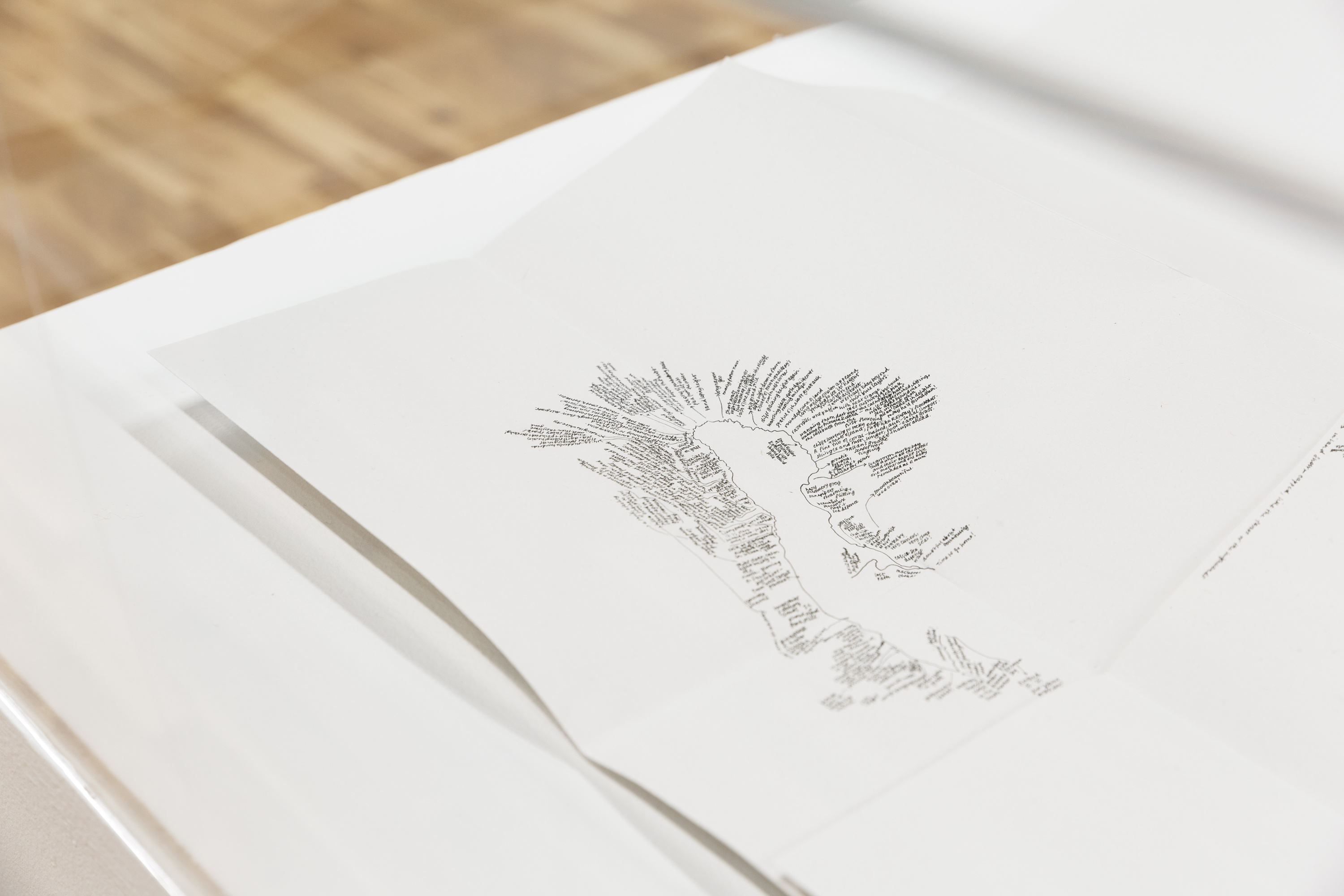 Exhibition Views - Frances Scott