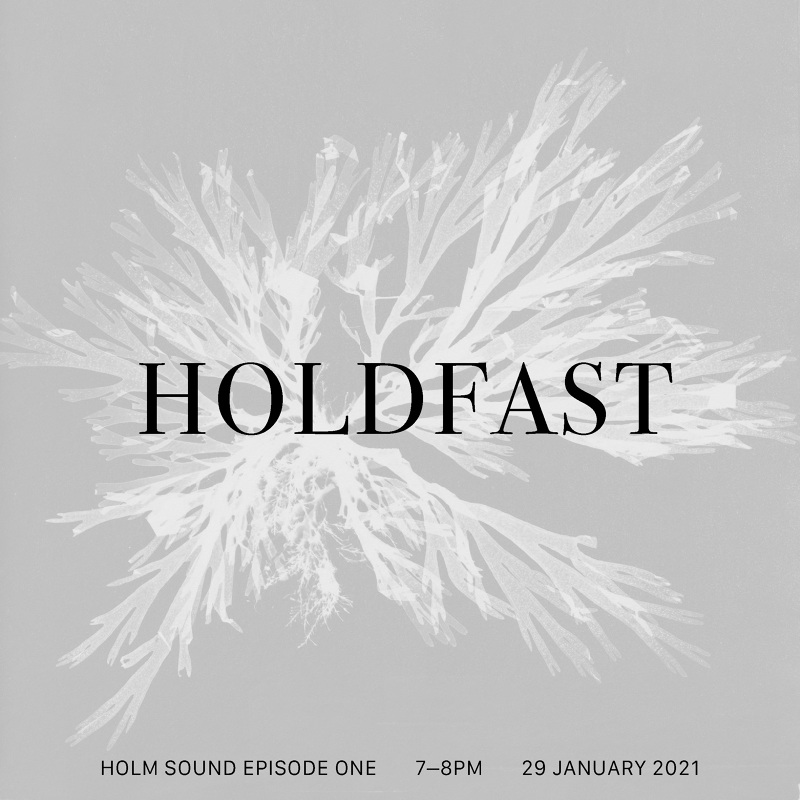 Holm Sound - Frances Scott