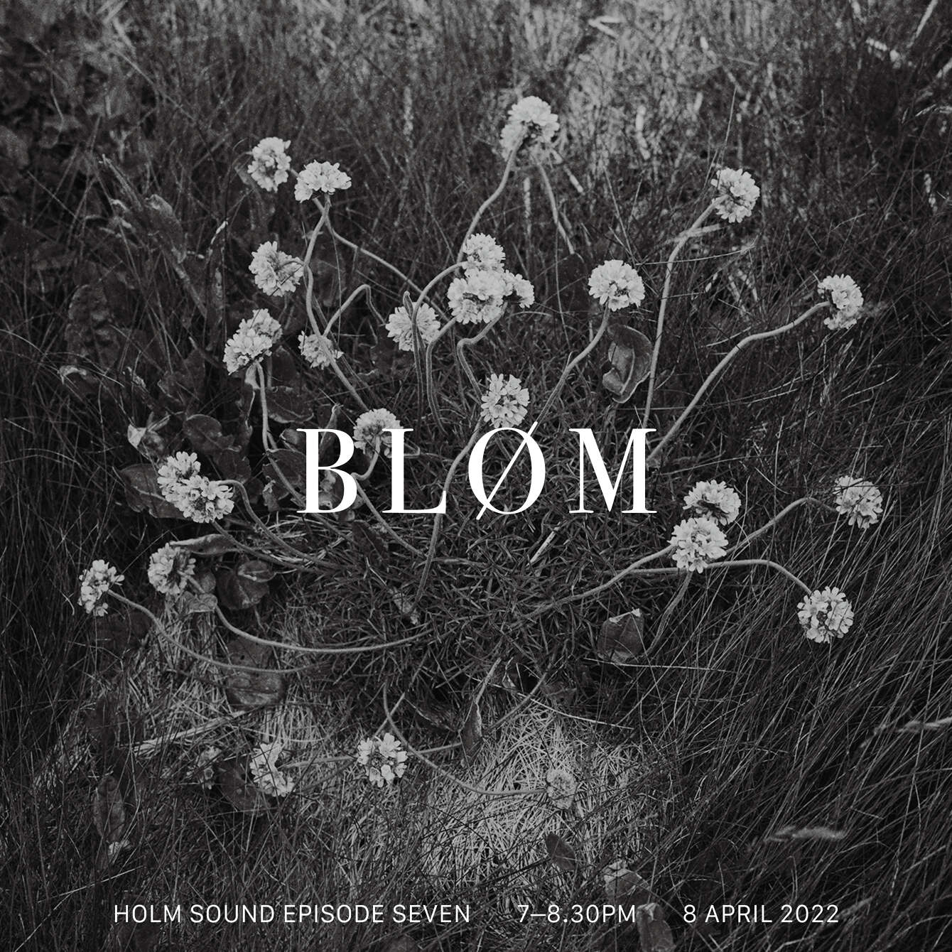 Holm Sound - Frances Scott