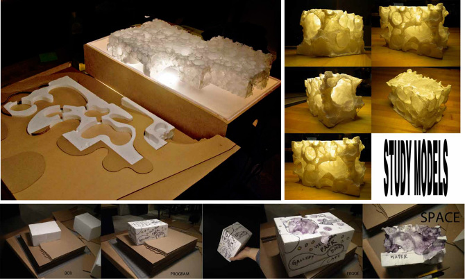 Brooklyn Sculpture Garden - Brian Hong