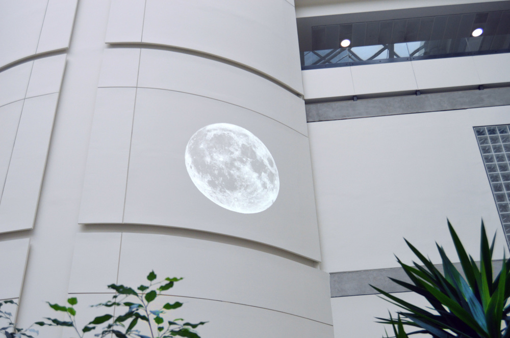 transient_space - Ra Bear