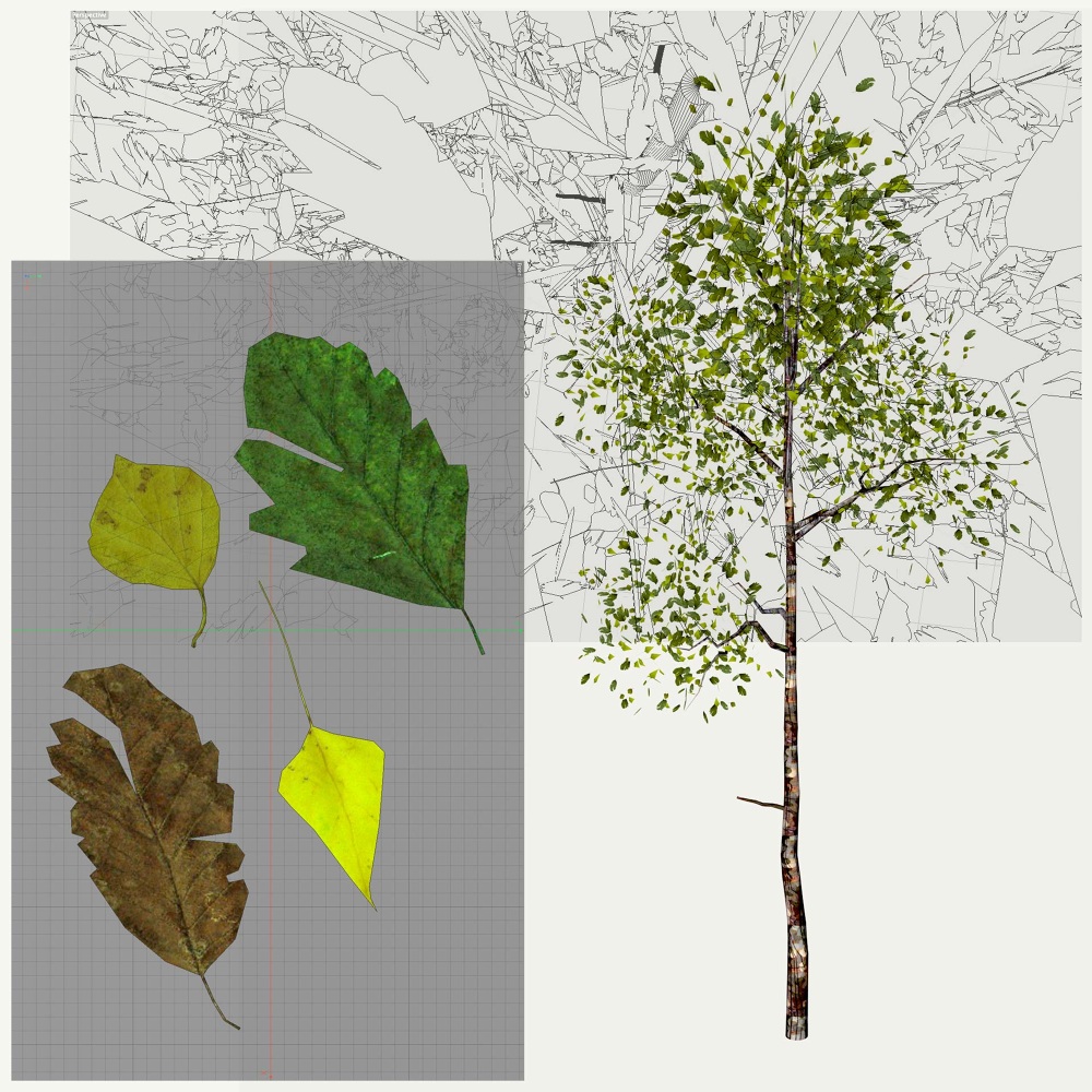 Kiss – Process - Joseph Hodgson