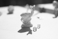 Emily Eddy Photography