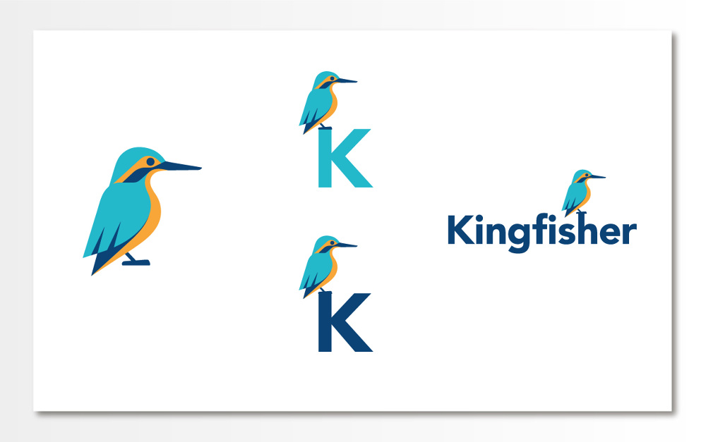 Kingfisher Projects — Identity - Sneaky Raccoon