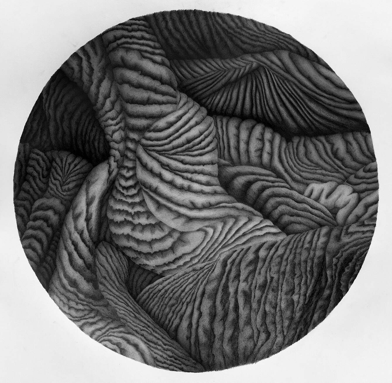 Protocultura - Ezequiel Black