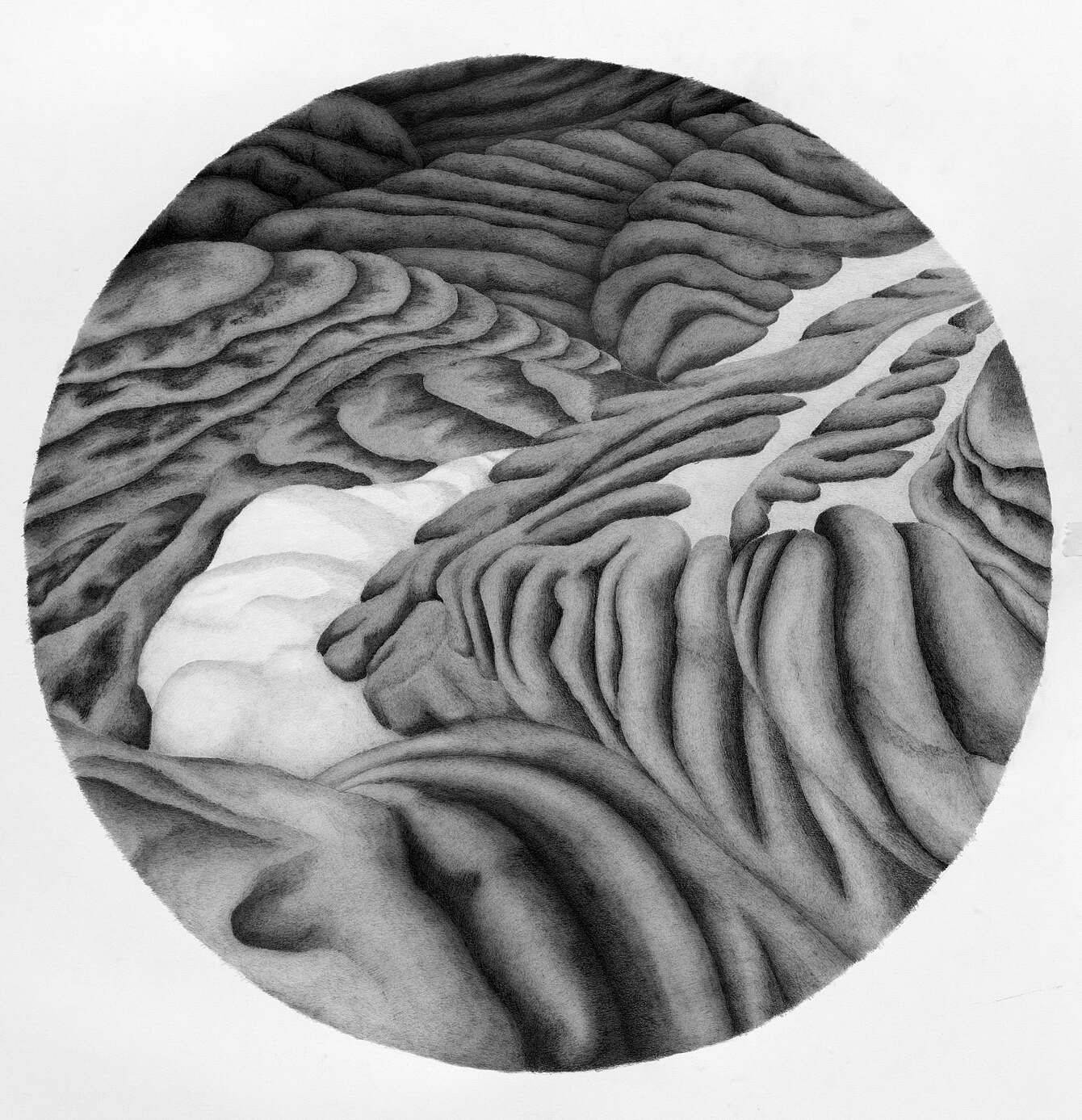 Protocultura - Ezequiel Black