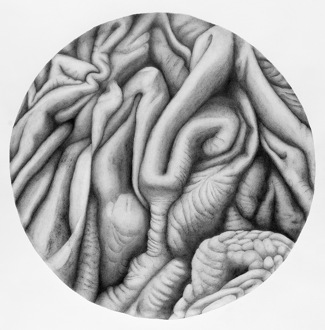 Protocultura - Ezequiel Black