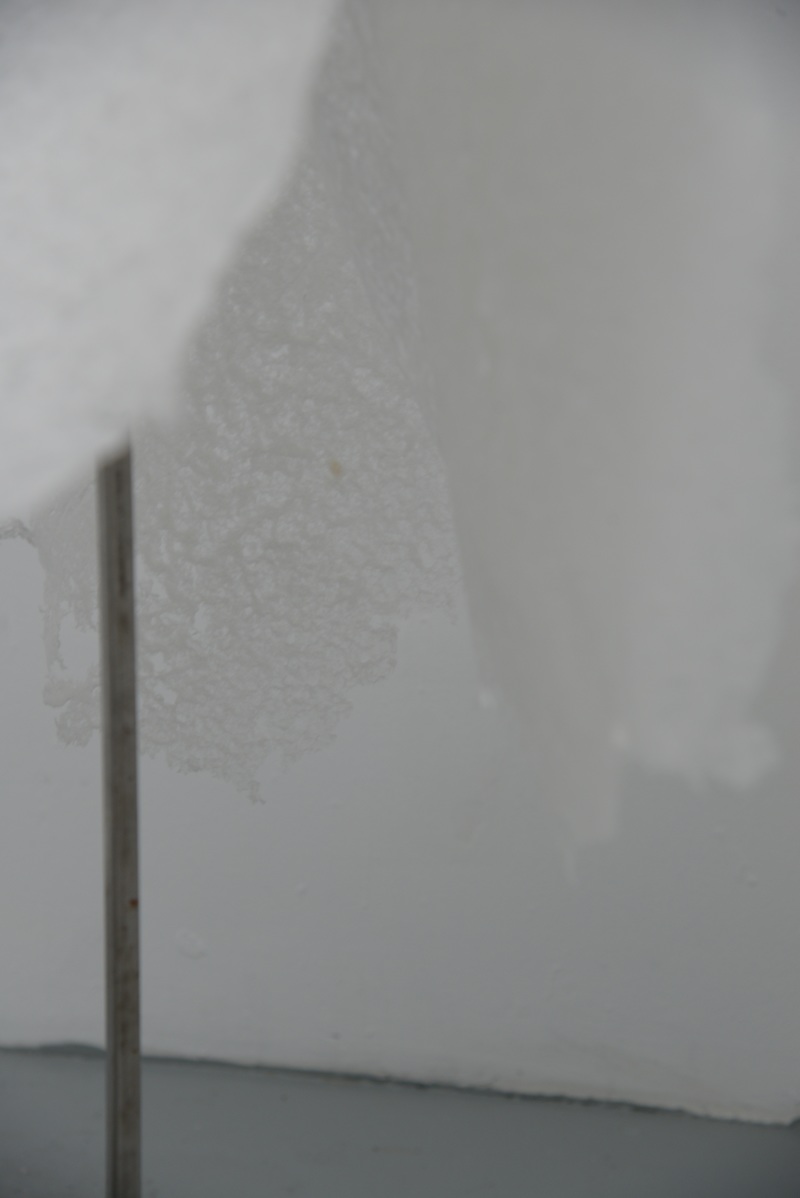 Tracing Absence - susan leen