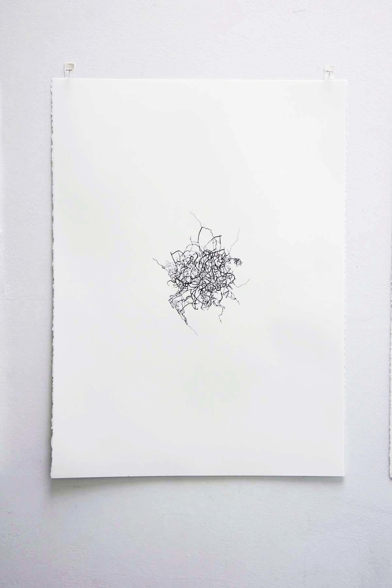 Tracing Absence - susan leen