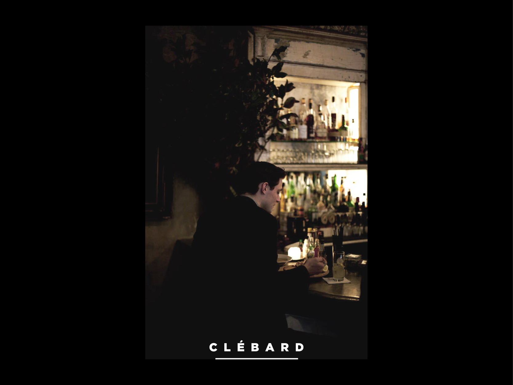 Clébard - nicramirez