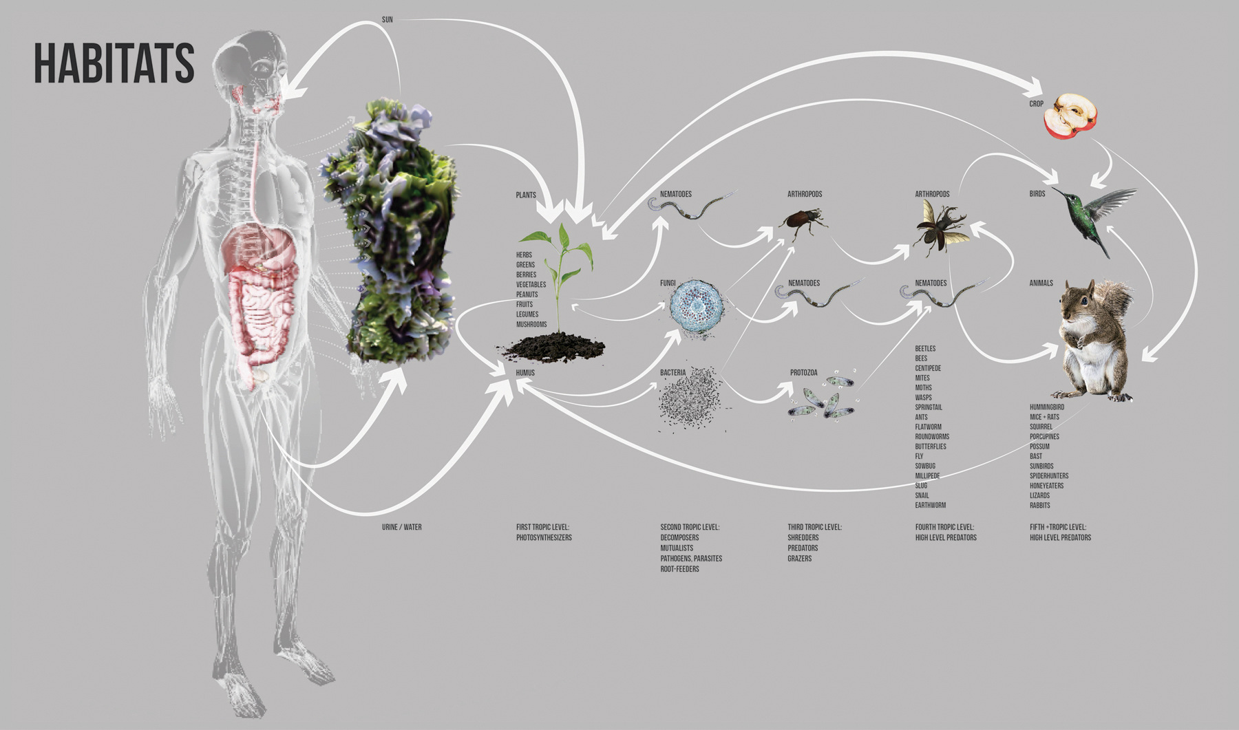 POSTHUMAN HABITATS - foreground design agency