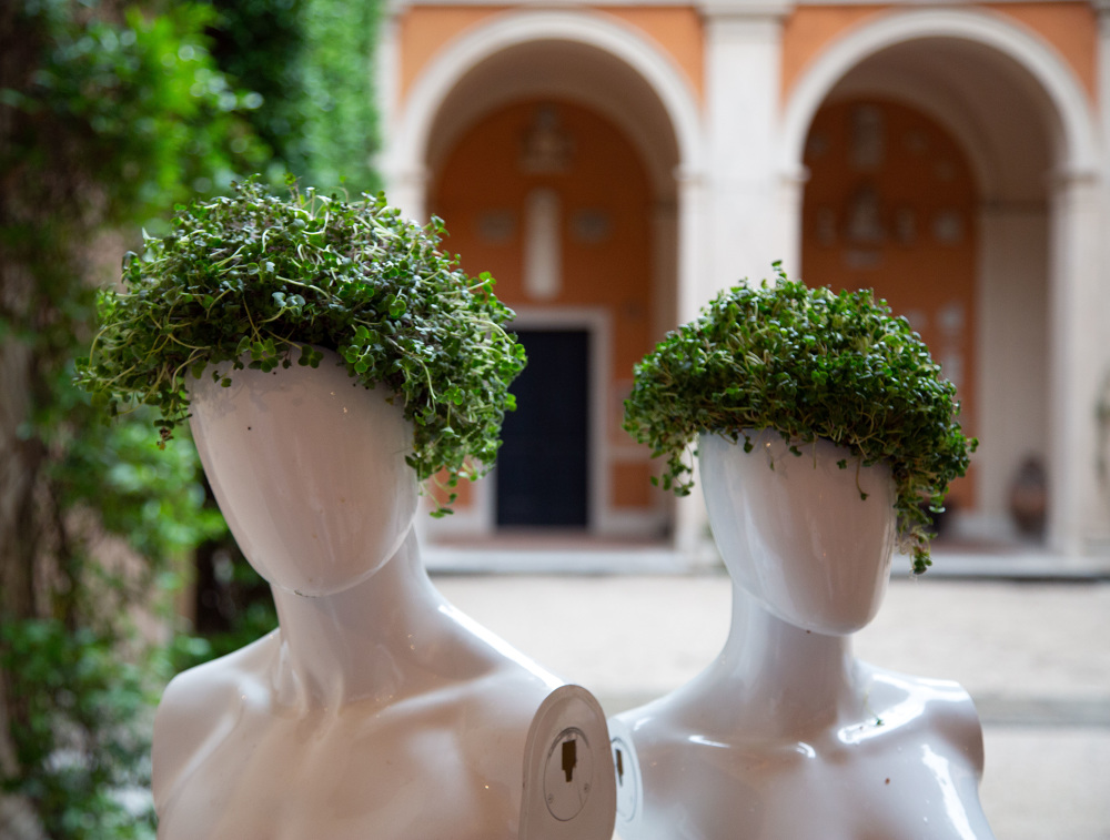 A HAT FOR ALICE WATERS - foreground design agency