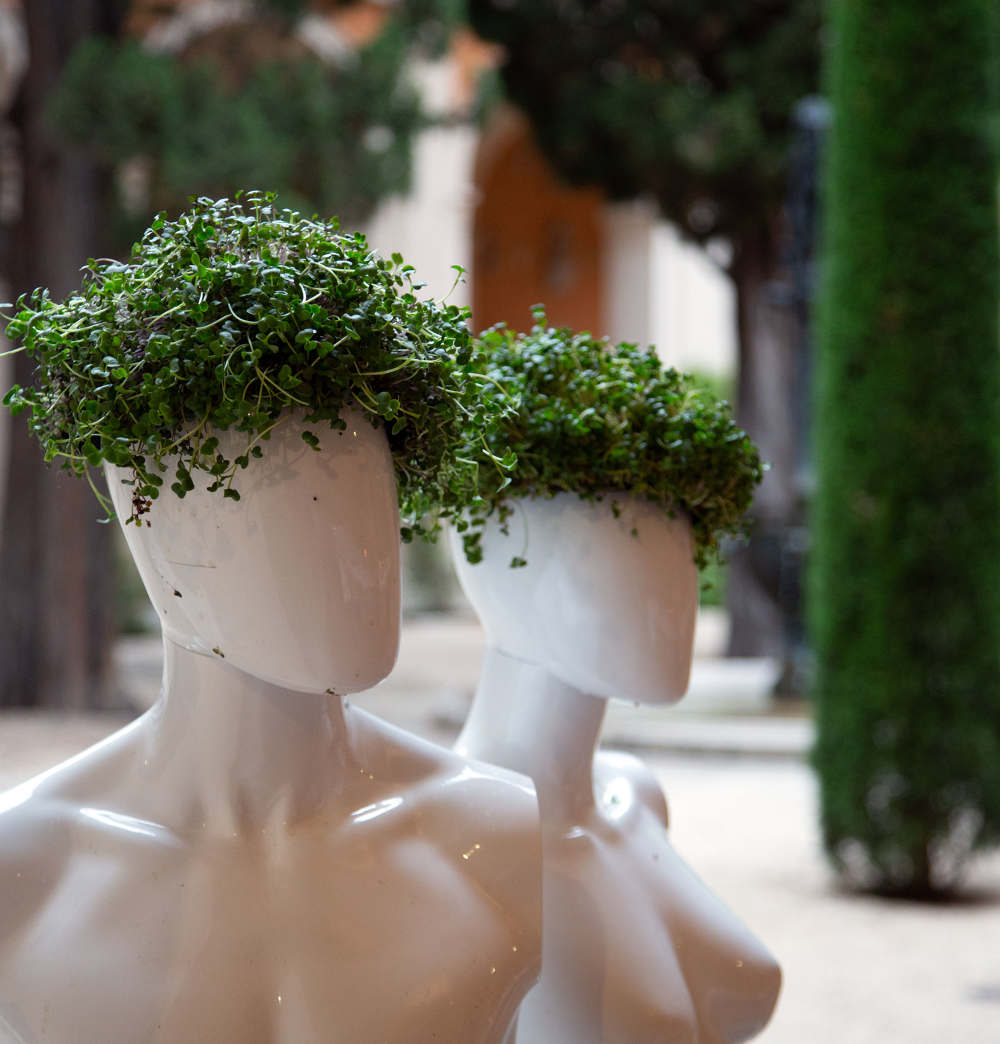 POSTHUMAN HABITATS - foreground design agency