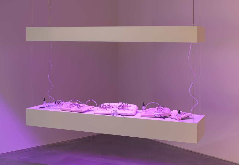 POSTHUMAN HABITATS - foreground design agency