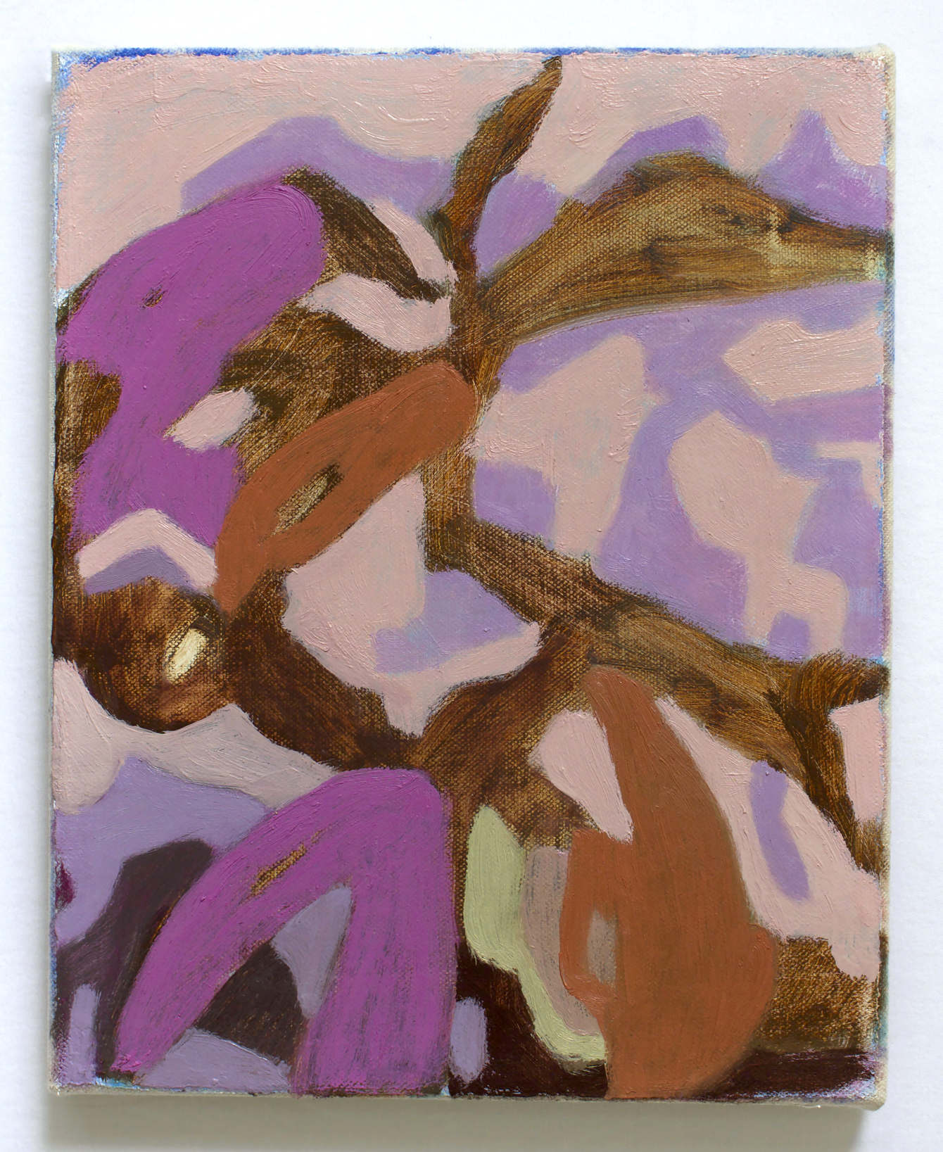 2017 - Rebekah Callaghan