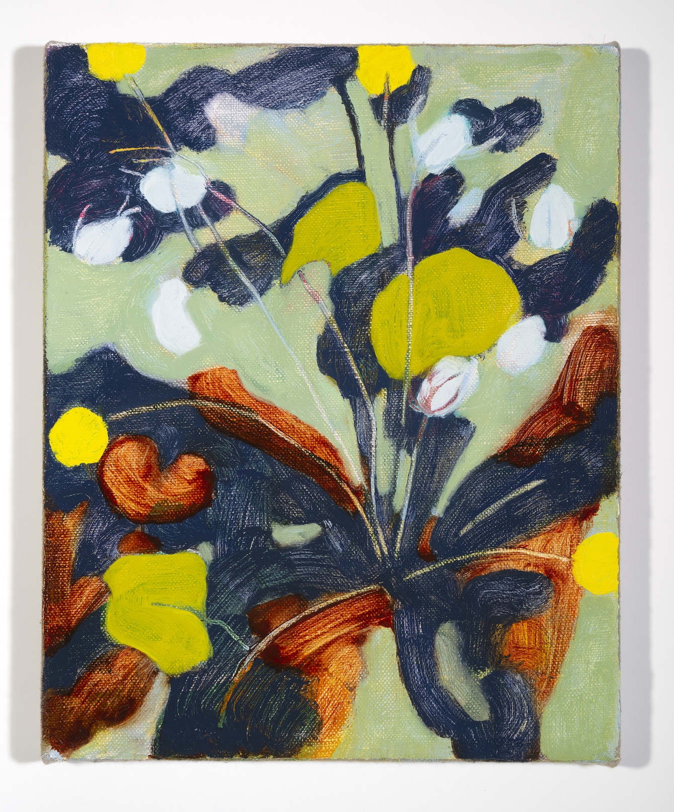 2018-19 - Rebekah Callaghan