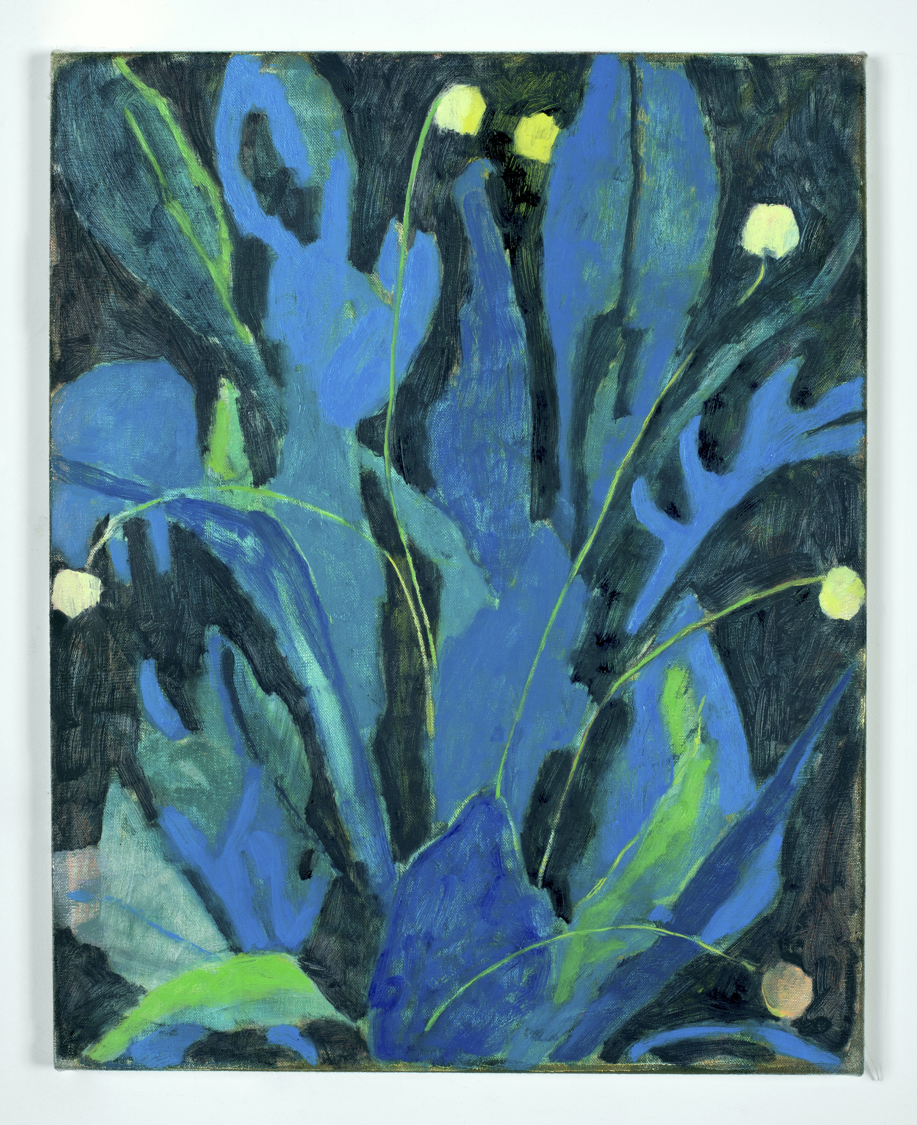 2020 - Rebekah Callaghan