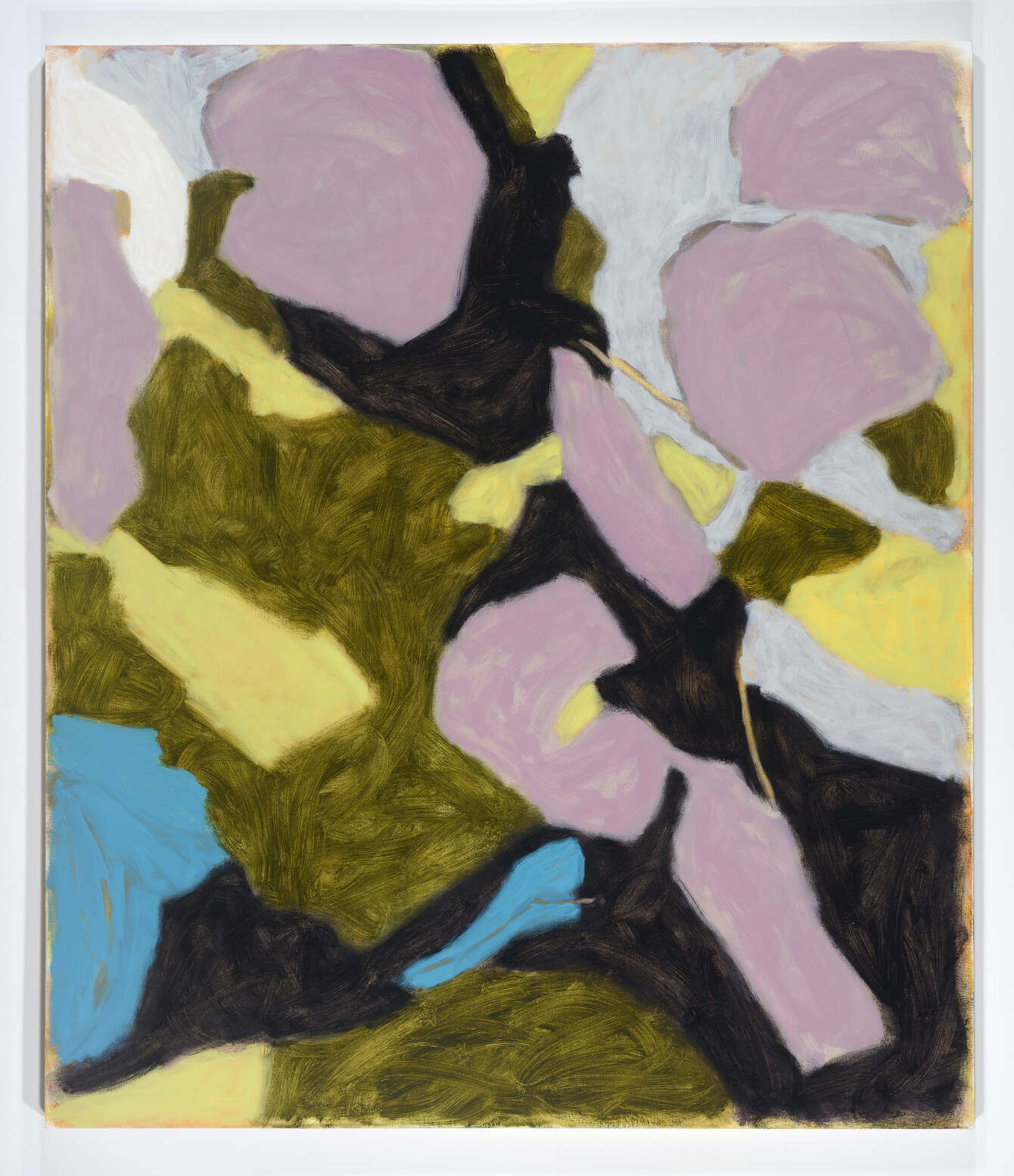 2021 - Rebekah Callaghan