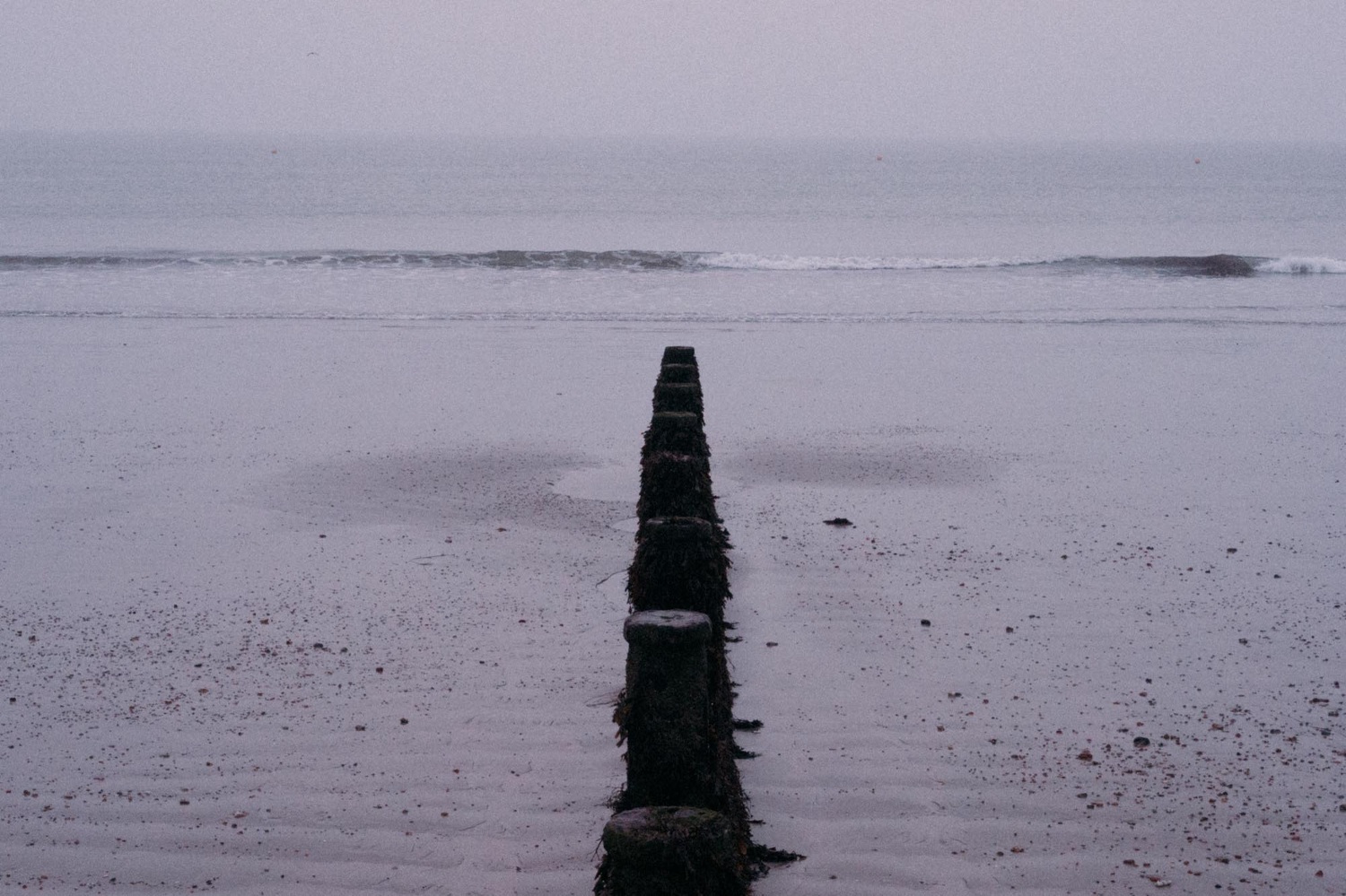 THE FISHERMEN OF BOGNOR REGIS - Peter Gloria Photography