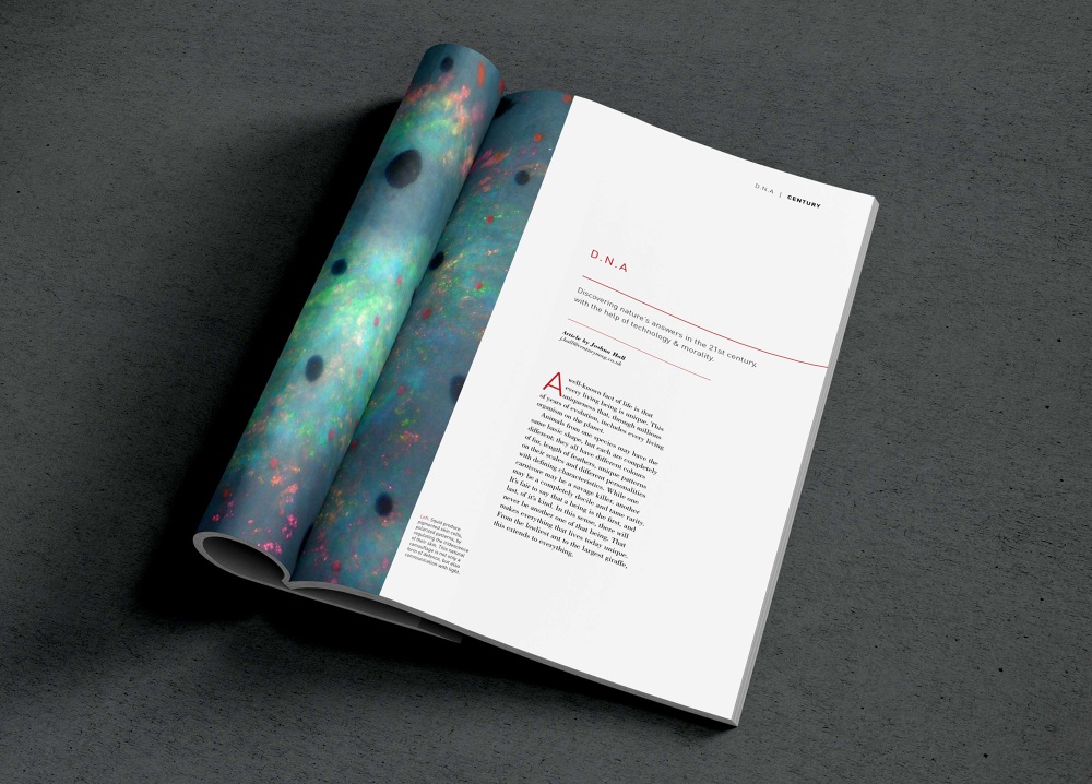 Century Magazine - The Hall Of Design