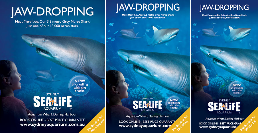 SEA LIFE Sydney Aquarium - swadlink brand design